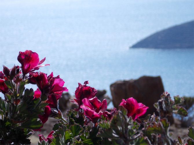 A Ilha do Sol e o hiking às margens do Lago Titicaca - Seu Mochilão